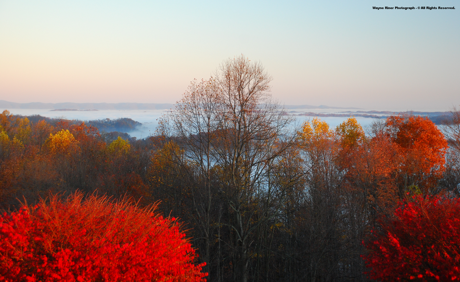 The High Knob Landform: Late Autumn In The Appalachian Highlands