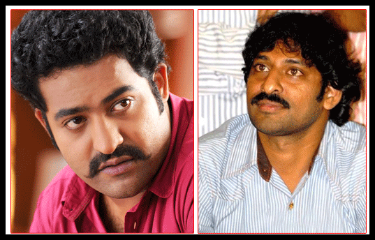 Young Tiger Jr.NTR -Srikanth Addala movie confirmed. | TRINADH REVIEWS