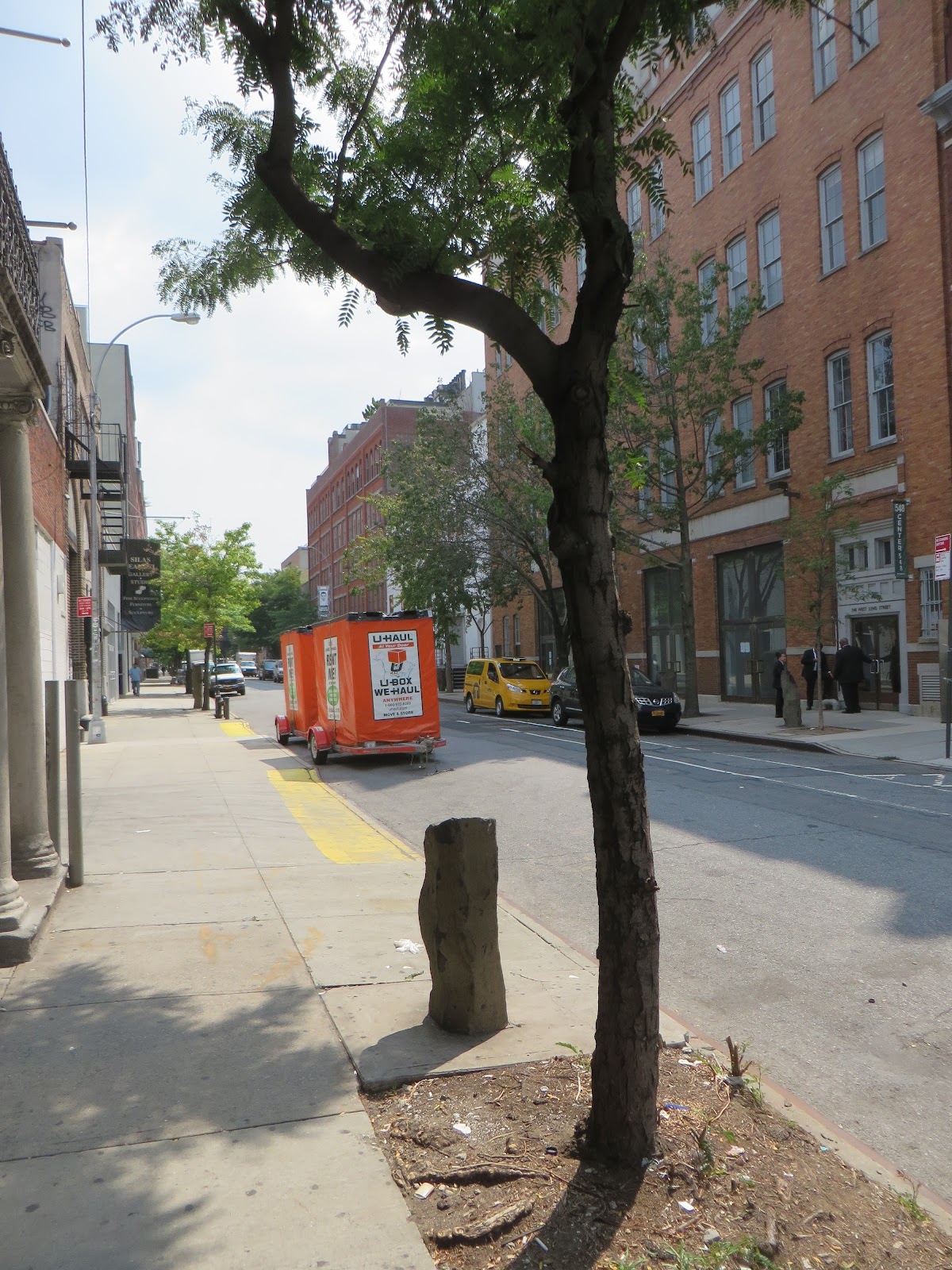 EntreVoir: Joseph Beuys, 7000 Eichen