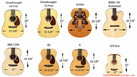 TYPES OF GUITAR ACCORDING TO THEIR SHAPES AND SIZES (PART-2)