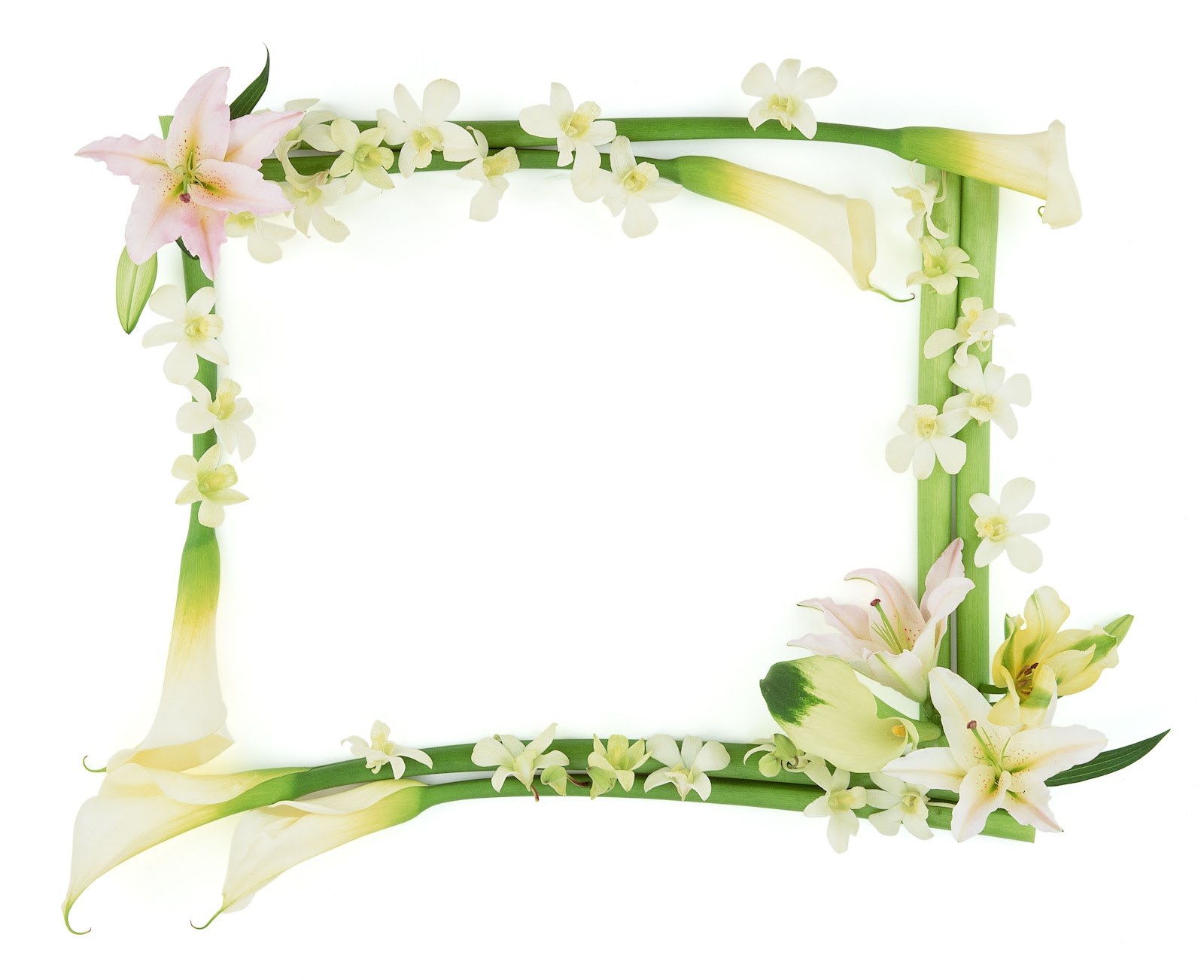 Flower Frames In All Size ~ Hits All
