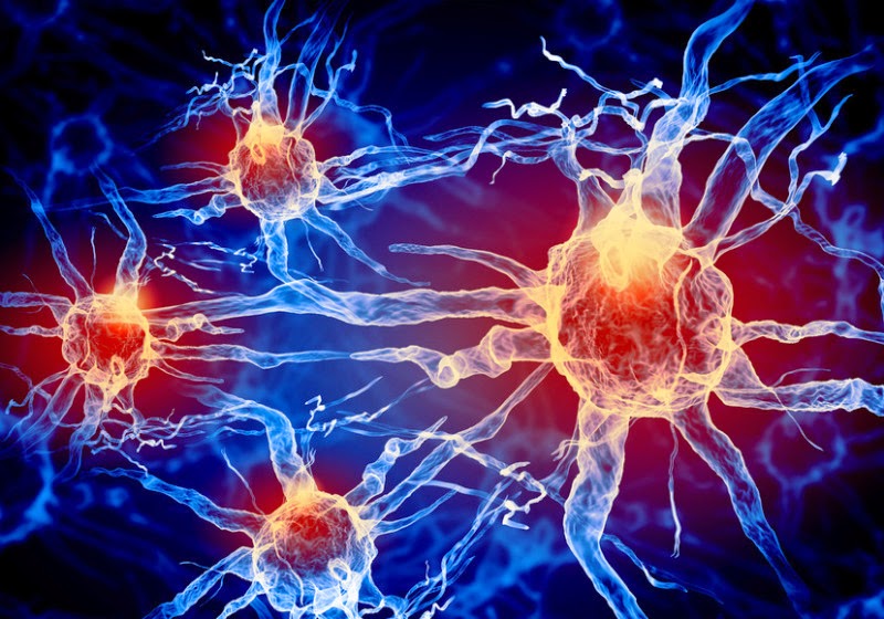 KNOWLEDGE BAG OF BIOCHEMISTRY: 'Lightning bolts' in brain show learning ...