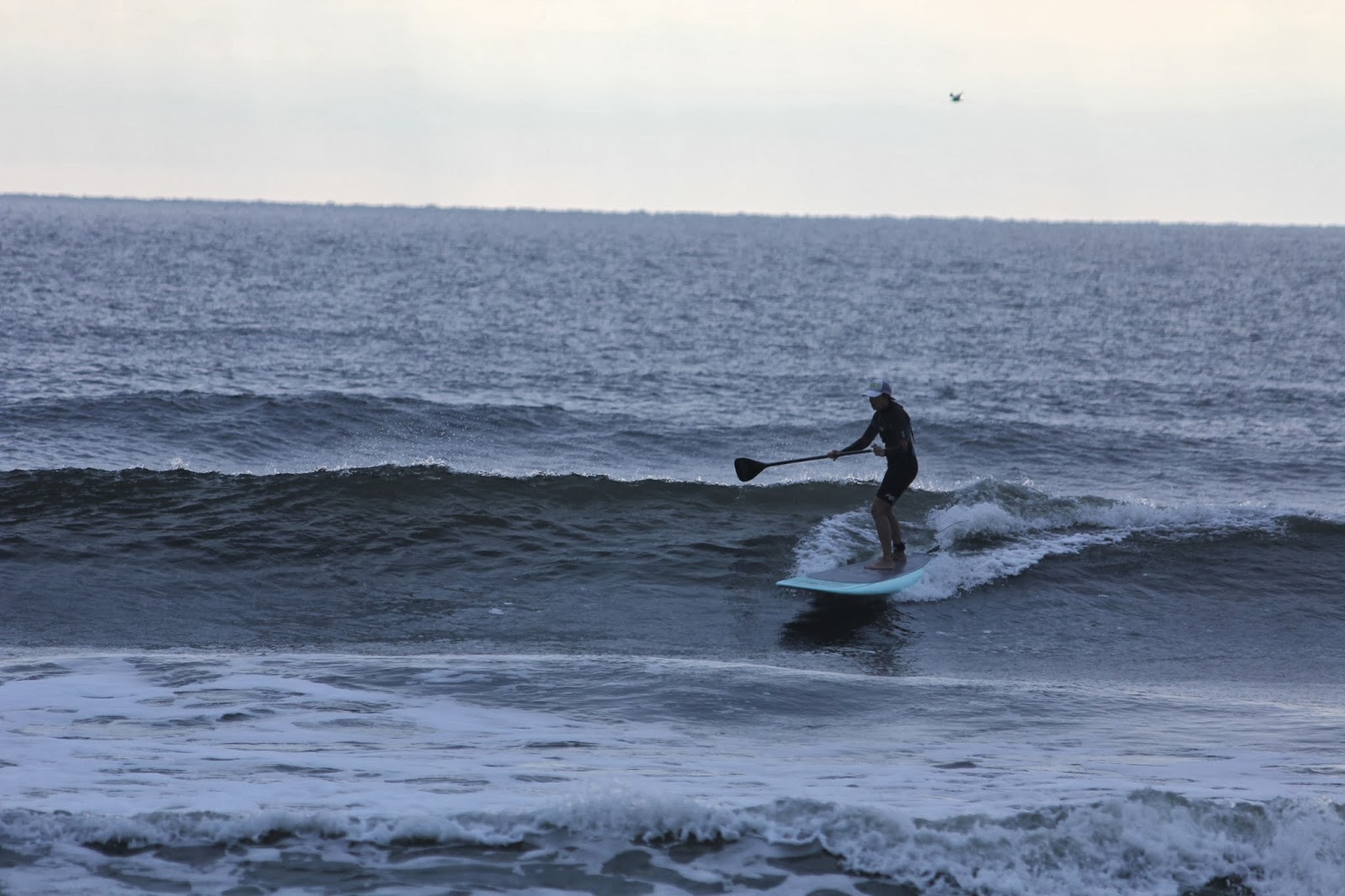 NC Paddle Surfer at Stand Up Paddle Surfing in Hawaii ...