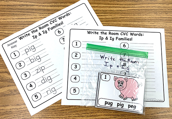 CVC Write the Room Activities- Differentiated Cards!