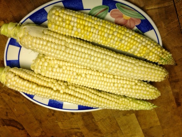 Heart and Sole Food: Hopi corn, a delicious heirloom