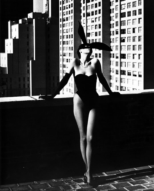 Toronto Cat Woman Gotham Selina Kyle Is Catwoman