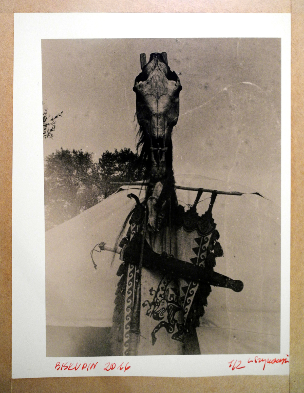 PHOTODOCUMENT & pinhole: Lith print - moja walka (3)