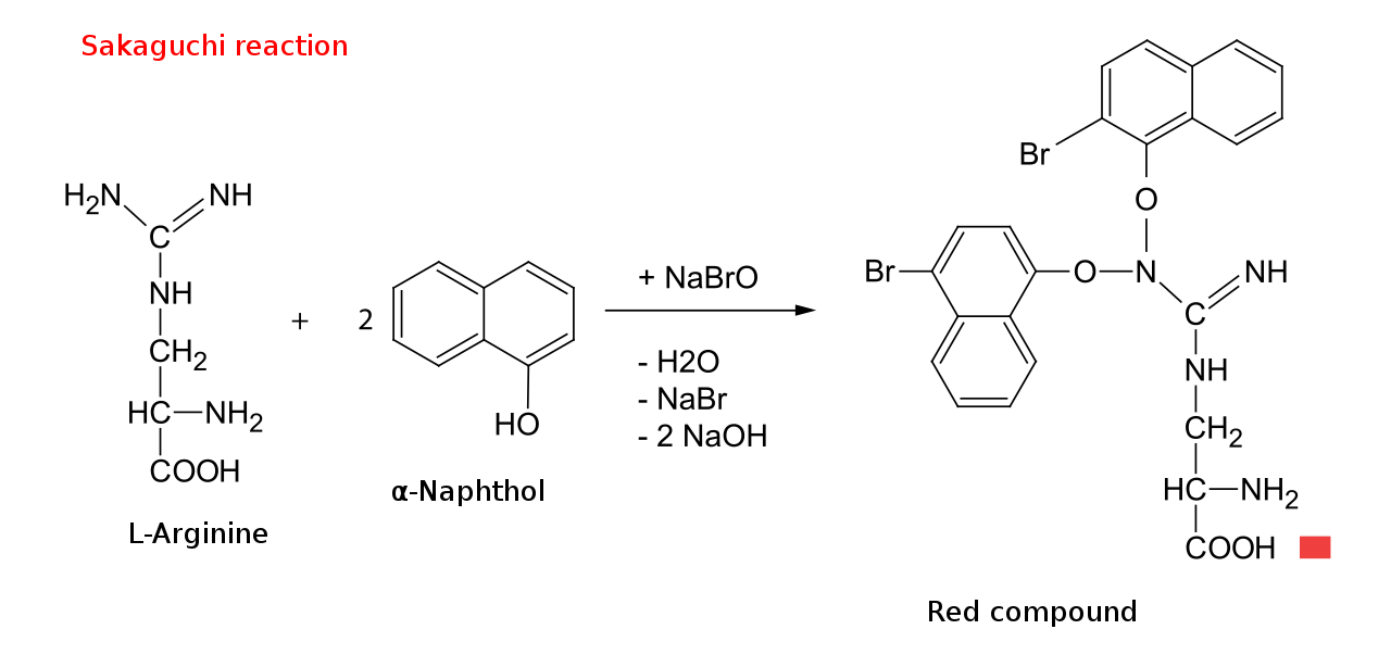 Hopkins cole reagent - shareslasopa