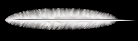 Lapiz y Bits: Crear plumas