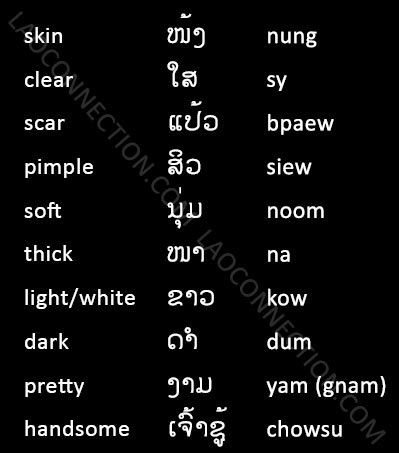 Laoconnection.com: Lao Language: Skin Related Words