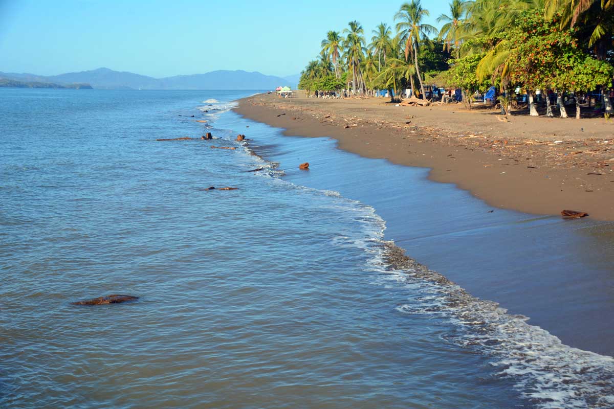 Bradley Vacation Blog: Jan 16 Punta Arenas, Costa Rica