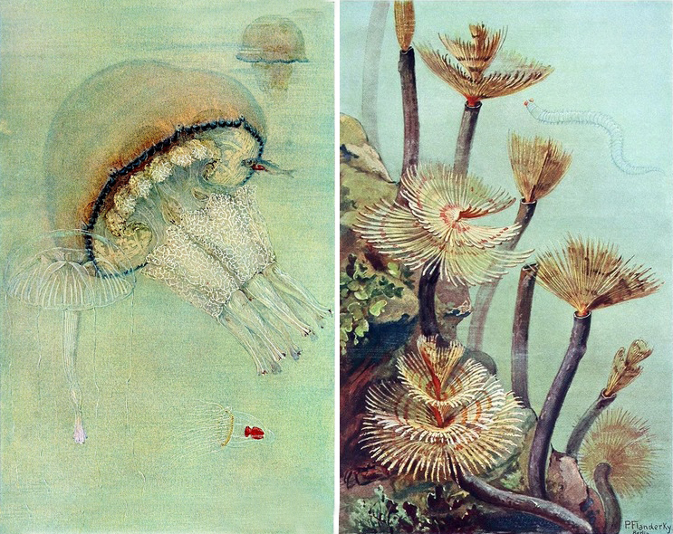 microphones in the trees: david casper/michel redolfi/inoyama land ...