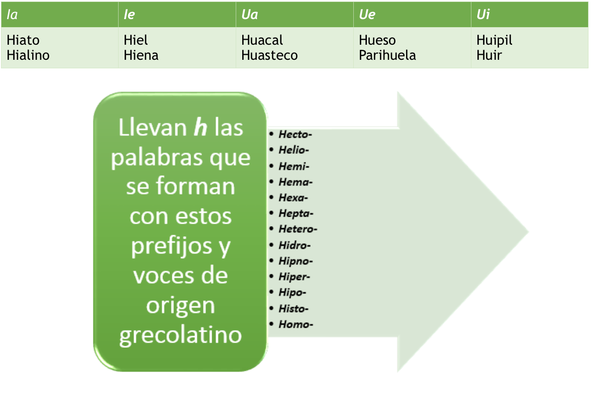 El Azote Ortográfico: 2014
