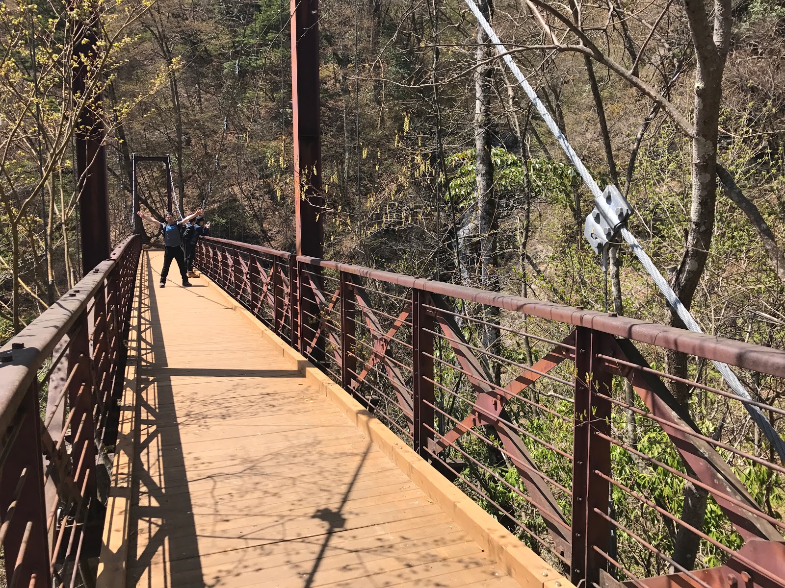 Hiking in Tokyo: Mt. Fuji View from Okutama's Mt. Mito (三頭山 ...