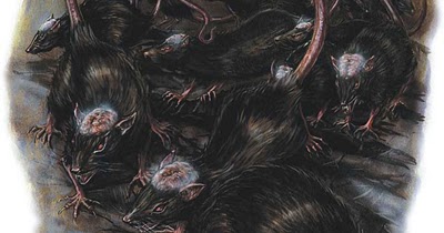 RPG Indesign Hobbyist: 5e Beastmaster Companion Comparisons