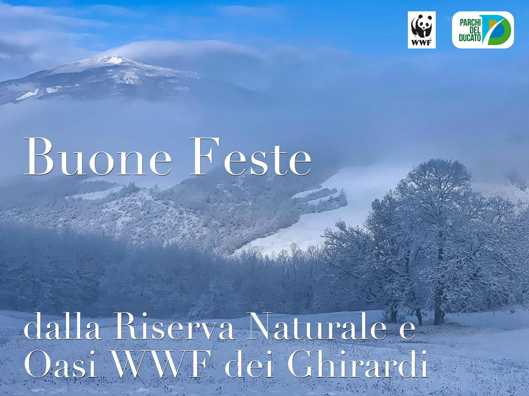 Riserva Naturale Regionale e Oasi WWF dei Ghirardi: AUGURI DI BUONE FESTE