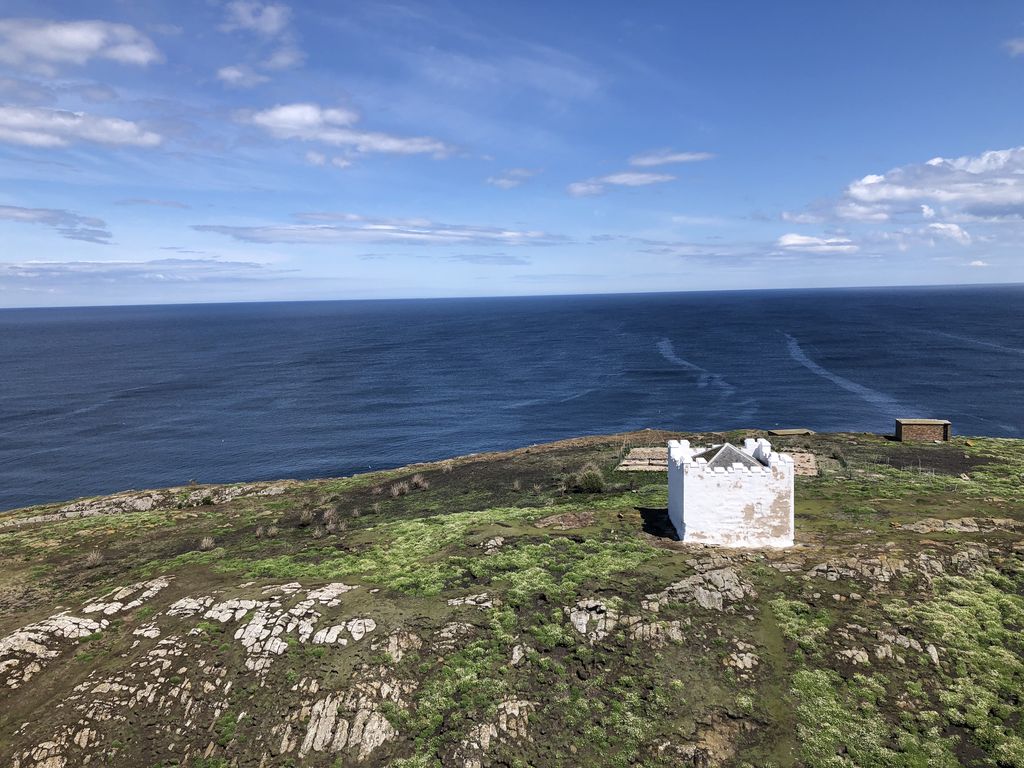 Excursion a la Isla de May (Escocia) para ver puffins | Sin mirar a nadie
