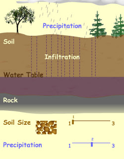 Water cycle.: Infiltration