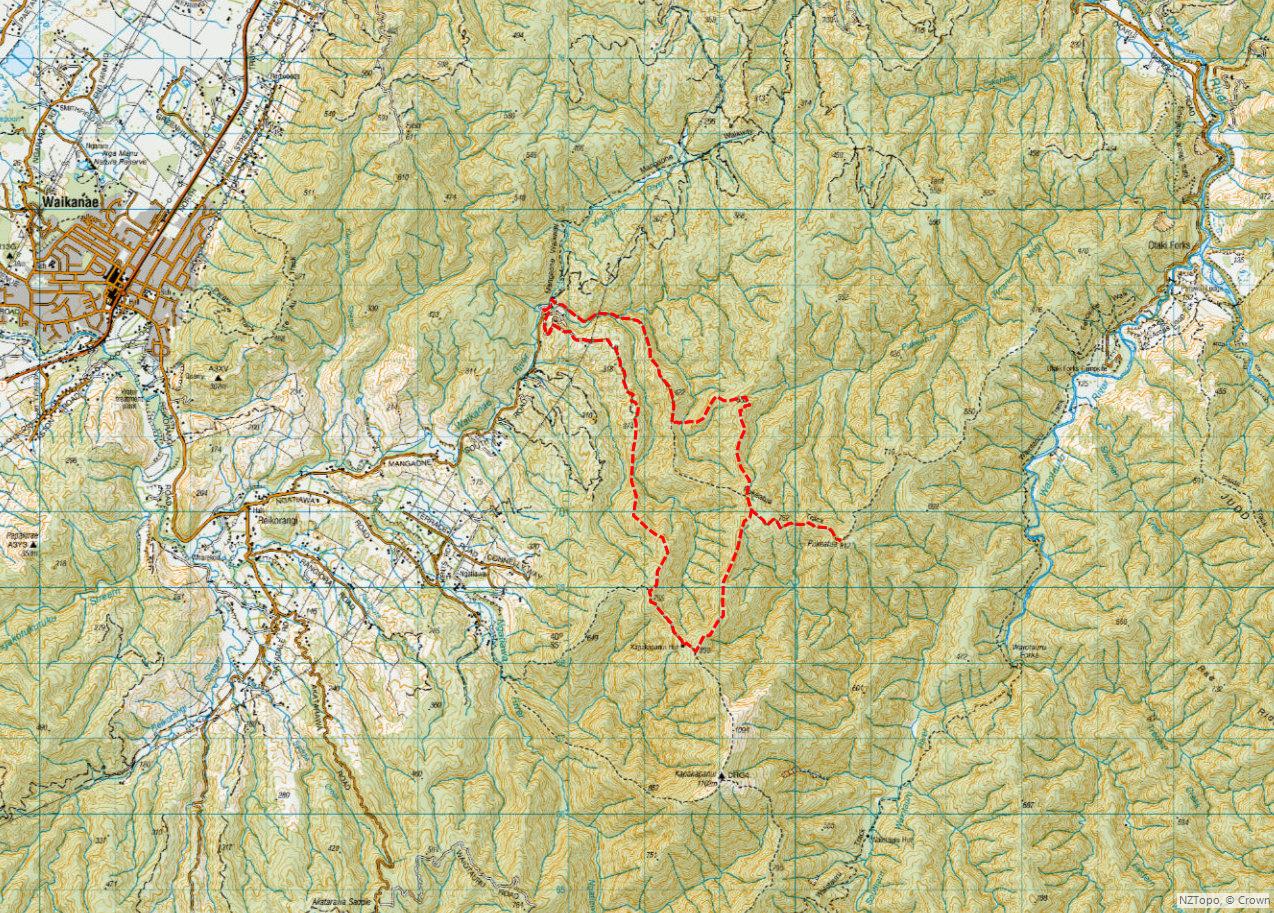 Biking and tramping trip blogs: Pukeatua day trip