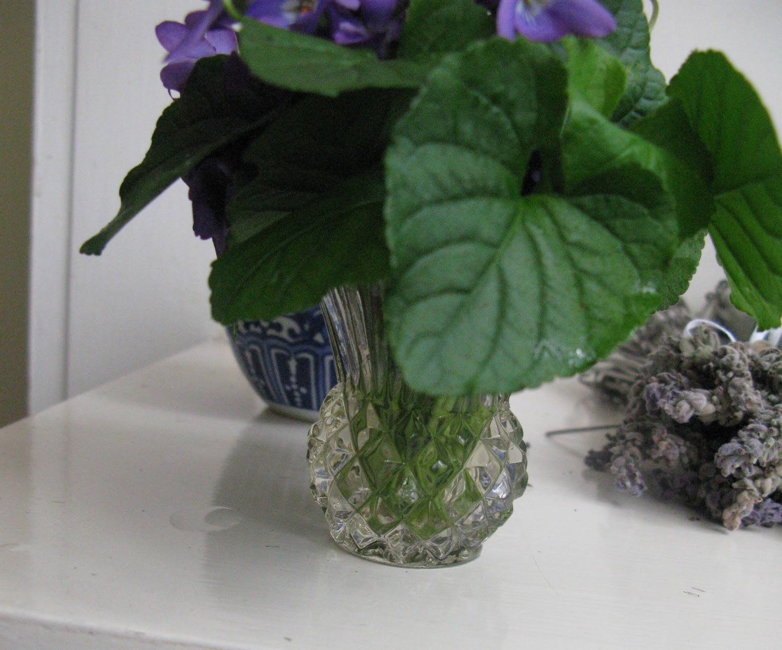Devonhouse Recollections: VIOLETS AND VASES