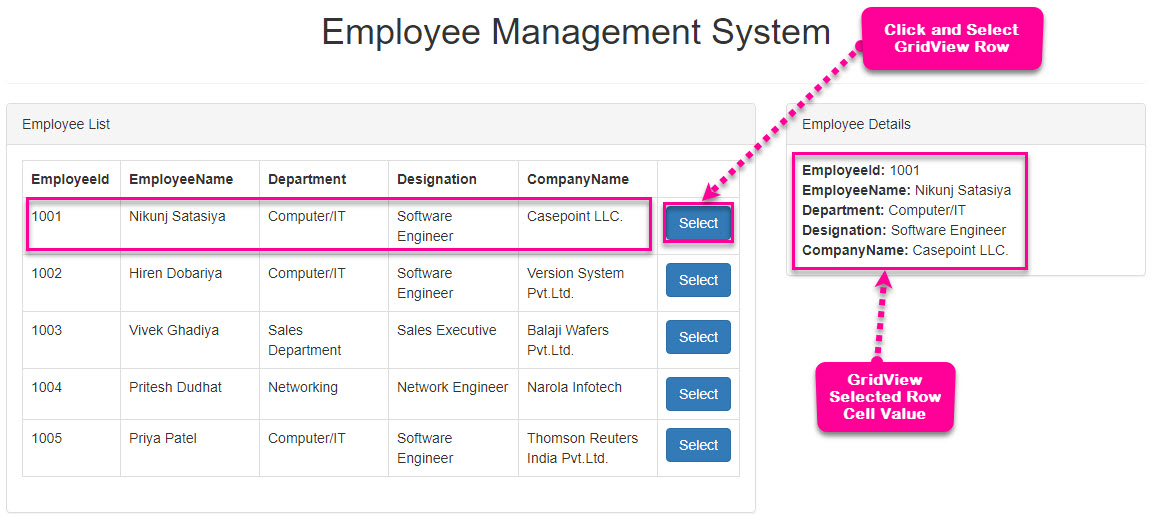How To Get Selected Row Cell Value From The Gridview In