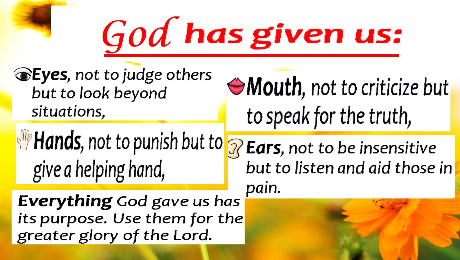 👄🤚👅👂👃🤲👁 Everything God has Given Us for a PURPOSE! Amen 👄🤚👅👂👃🤲👁