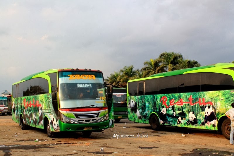 Kumpulan Foto Bis Restu Panda Arjosari Malang - Kumpulan Foto Bis