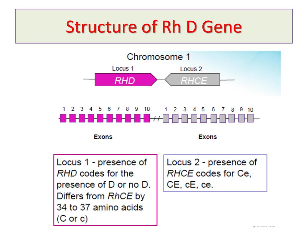 EXAMS AND ME : December 2019
