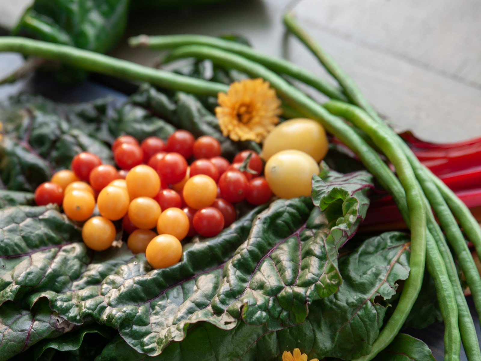 Trollenland: Aus dem Garten auf den Tisch: Kritharaki mit Mangold ...