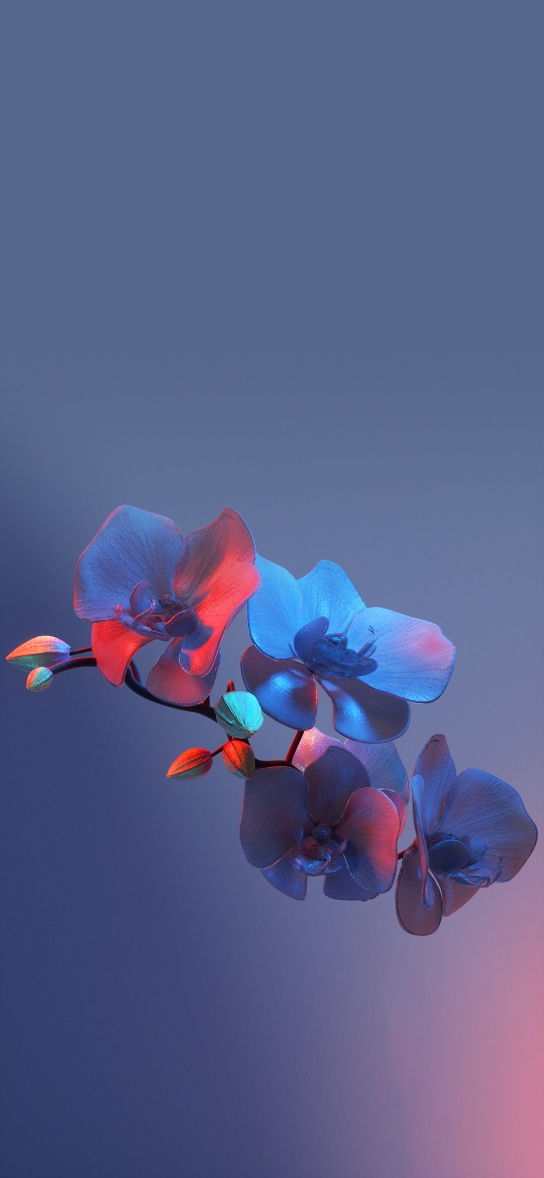 Wallpapers Apple iPhone 12 mini - Pack 3