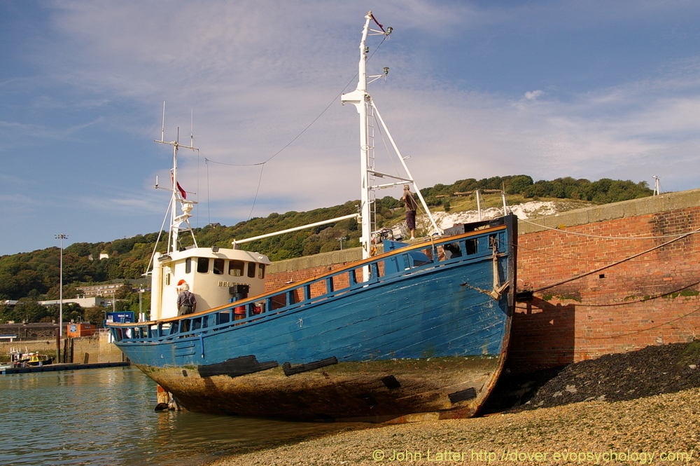 Dover Coronavirus Lockdown Blog UK: CPV Speedwell, UK Border Force ...