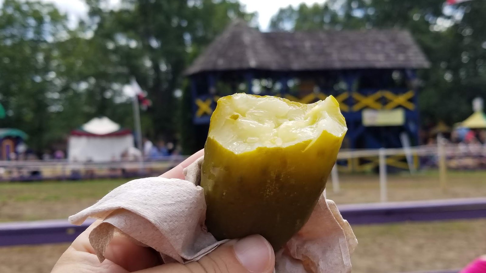 A GEEK DADDY: MICHIGAN RENAISSANCE FESTIVAL 2019