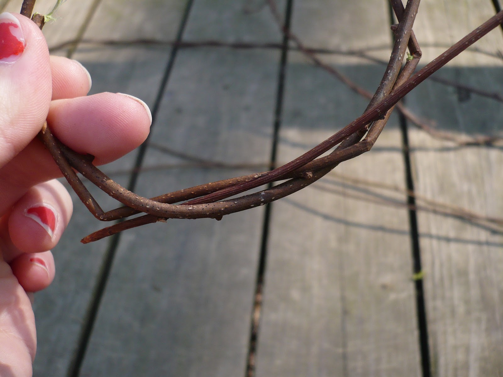 Craft a Weekend: Natural Vine Wreath