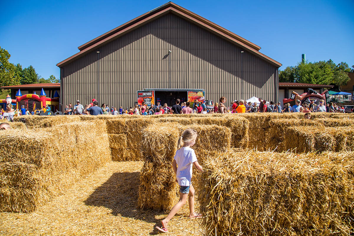 Lake of the Ozarks, MO - The FunLakeMO Blog