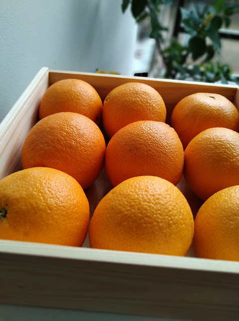 Aussie Navel Oranges are Back!