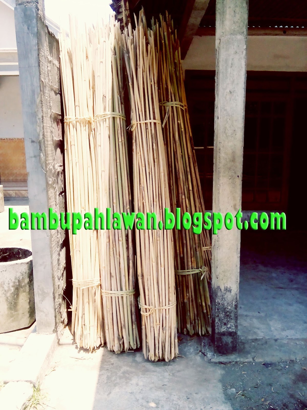 BAMBU PAHLAWAN: LANJARAN TANAMAN