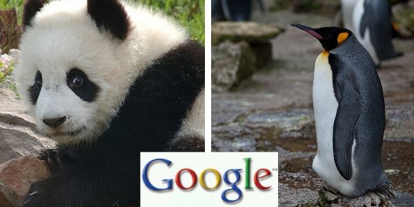 Slap The Penguin: Panda vs Penguin