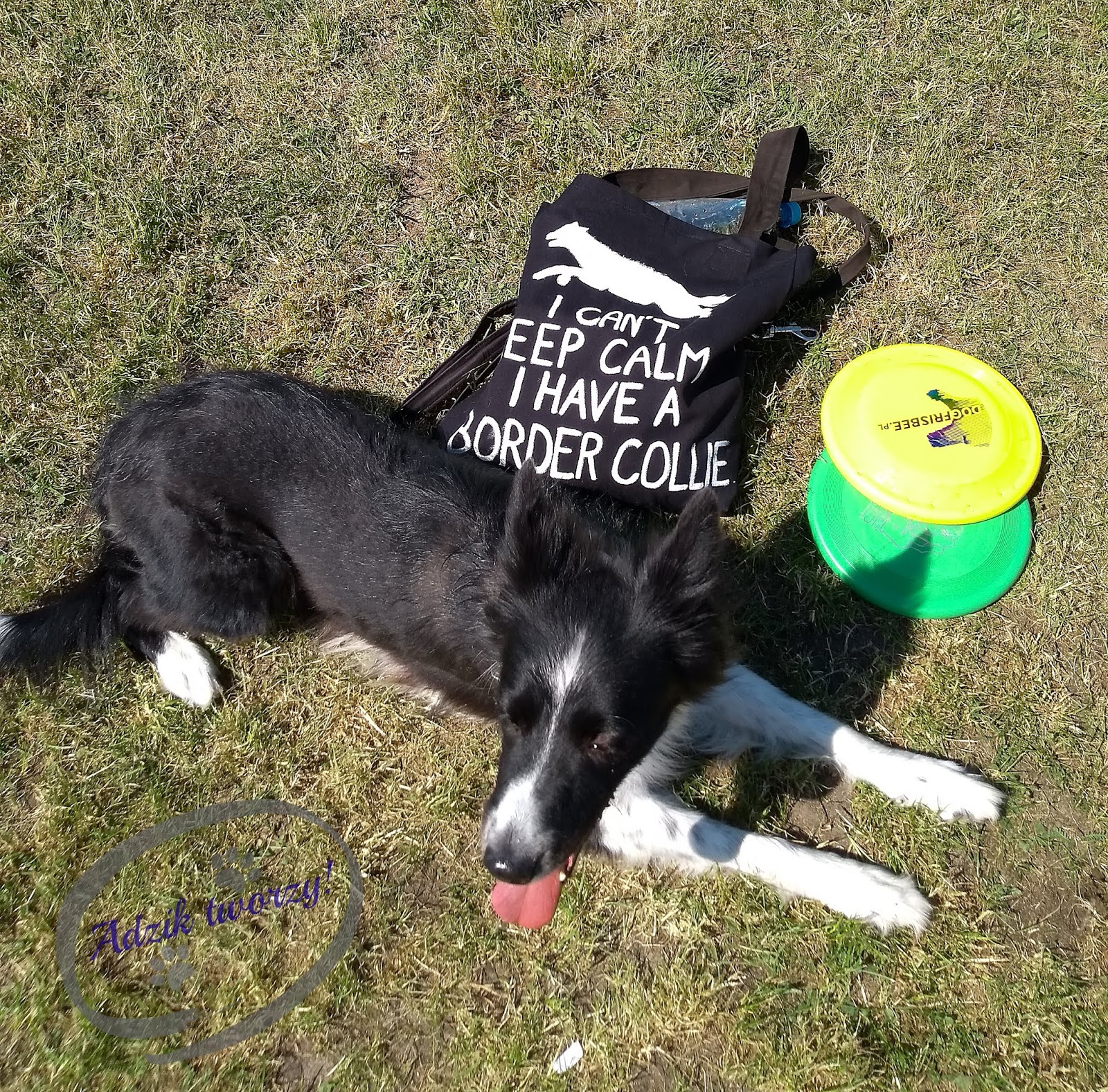 I can't keep calm - torba handmade dla właściciela border collie ...