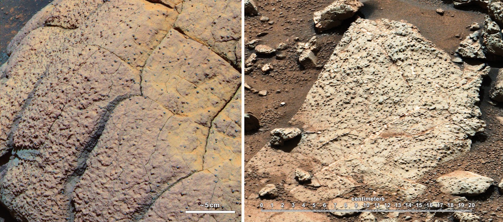 How our discovery of microbe traces in ancient rocks on Earth could ...