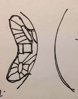 DAB810_Architecture Design8 | 2011: Butterfly concept - space arrangement