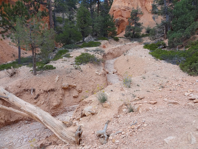 Live and Learn-Toss and Turn: Utah Vacation--Day 5, Bryce