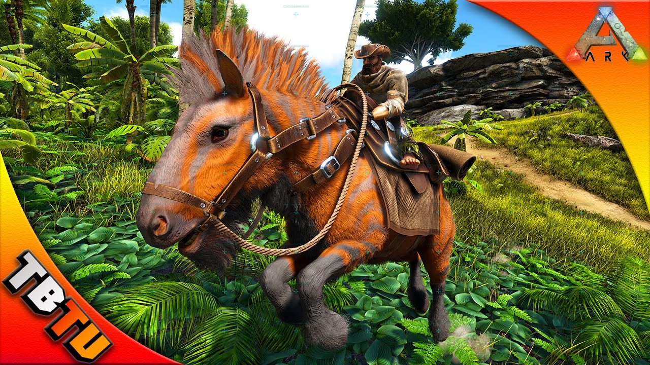 Where to Find and How to Tame Equus in Ark Survival Evolved