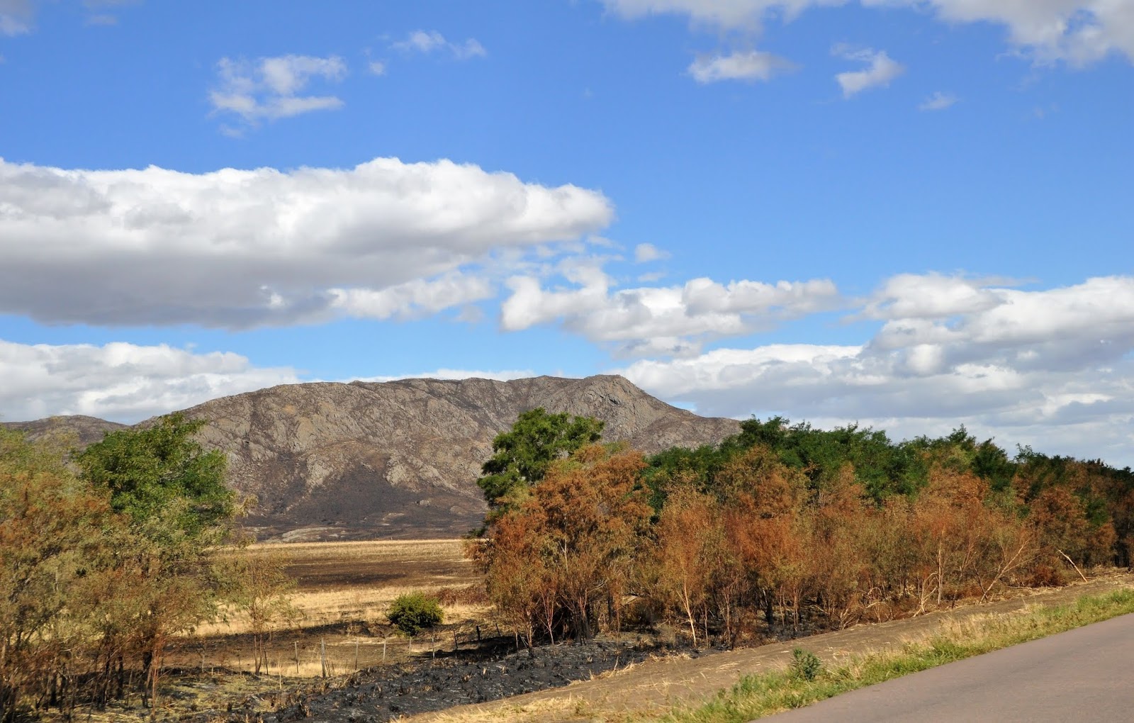 VIAJERO RODANTE: Parque Tornquist