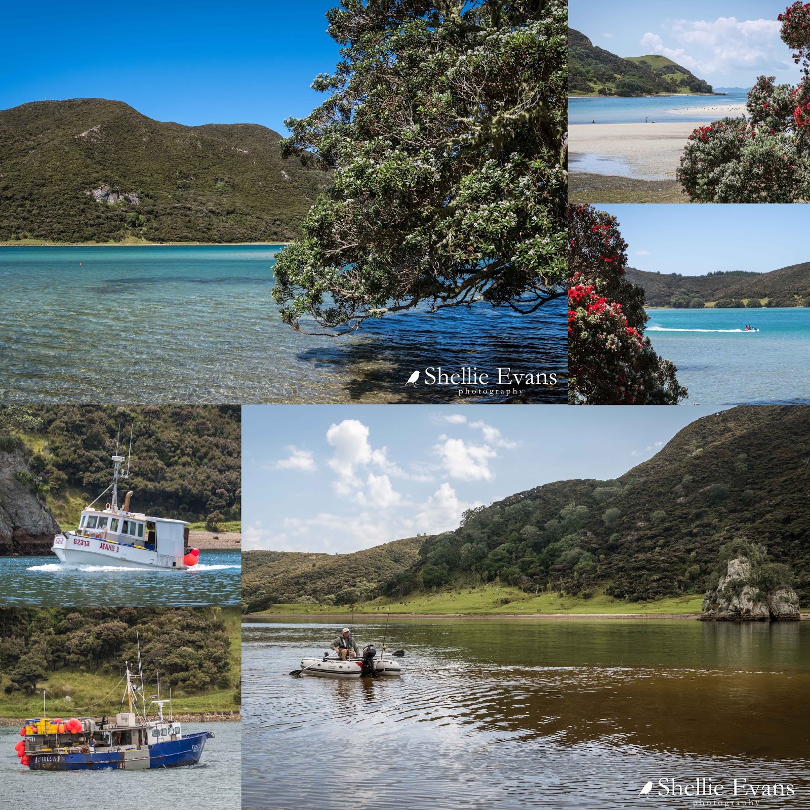 Two Go Tiki Touring: History at Houhora Heads