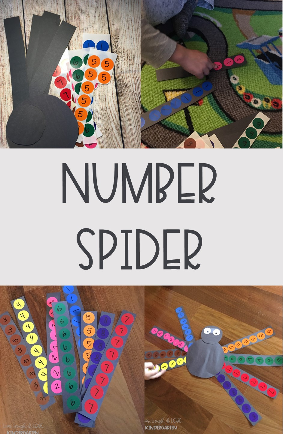 Today we talked about how many legs are on a spider (this is important ...