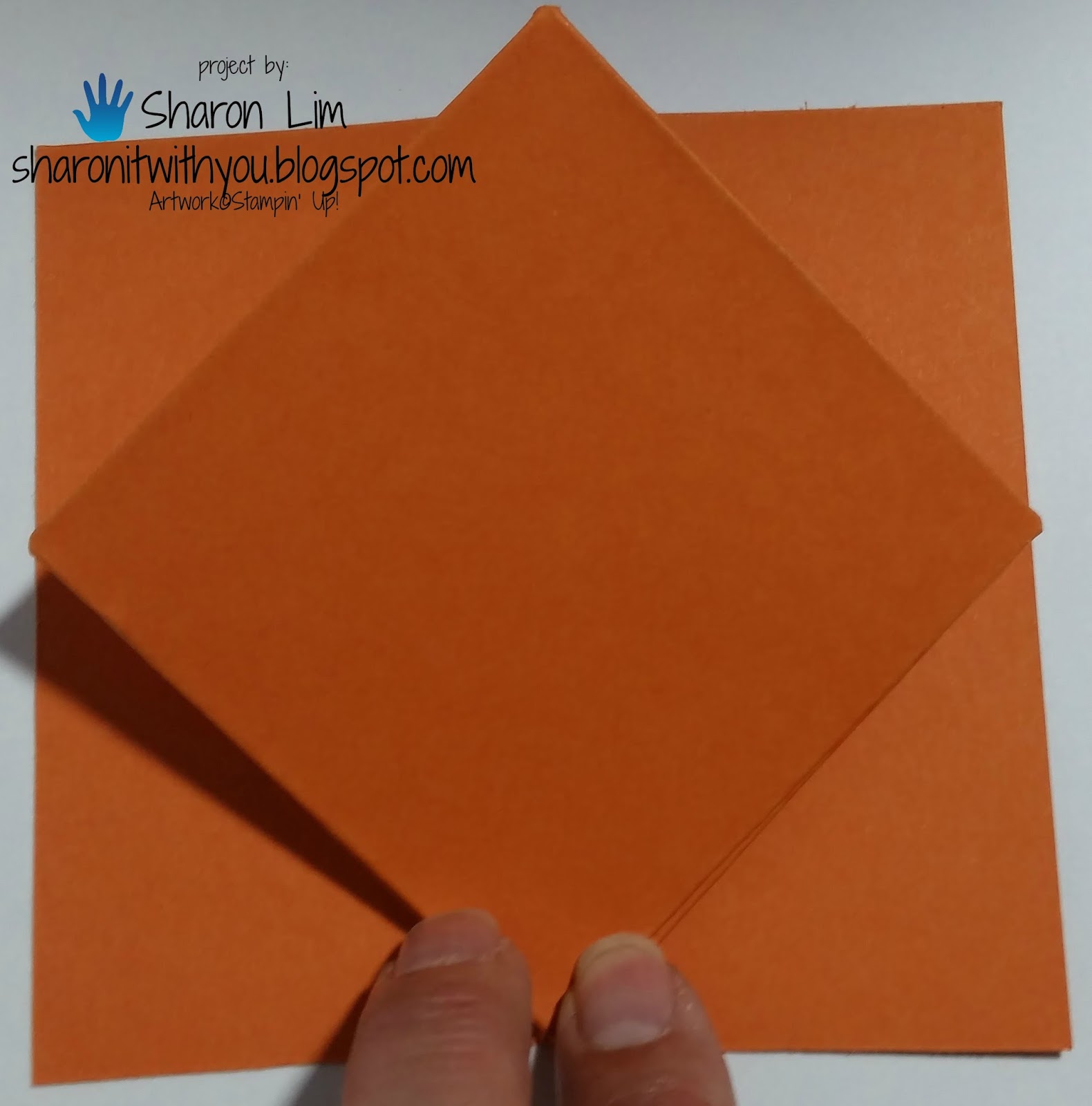 Sharon It With You: Diamond Fold card tutorial