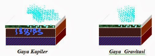 Besta's Blog: Infiltrasi dan Perkolasi
