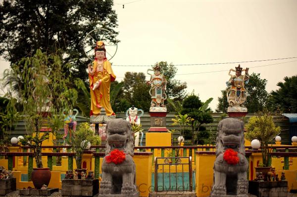 Persatuan Penganut Dewa Goh Hong Cheng Sern (Shi Ba Louhan Temple) 十八罗汉