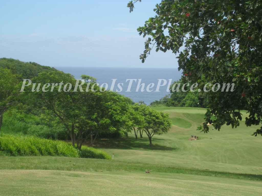 Puerto Rico Is The Place: Exploring Royal Isabela Resort In Puerto Rico