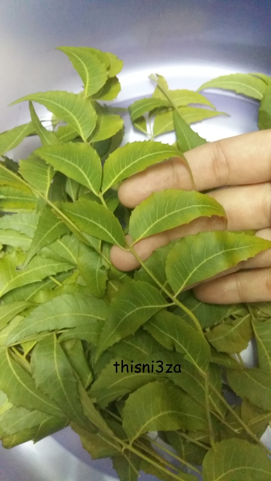 Daun Semambu... ~ My Story Board